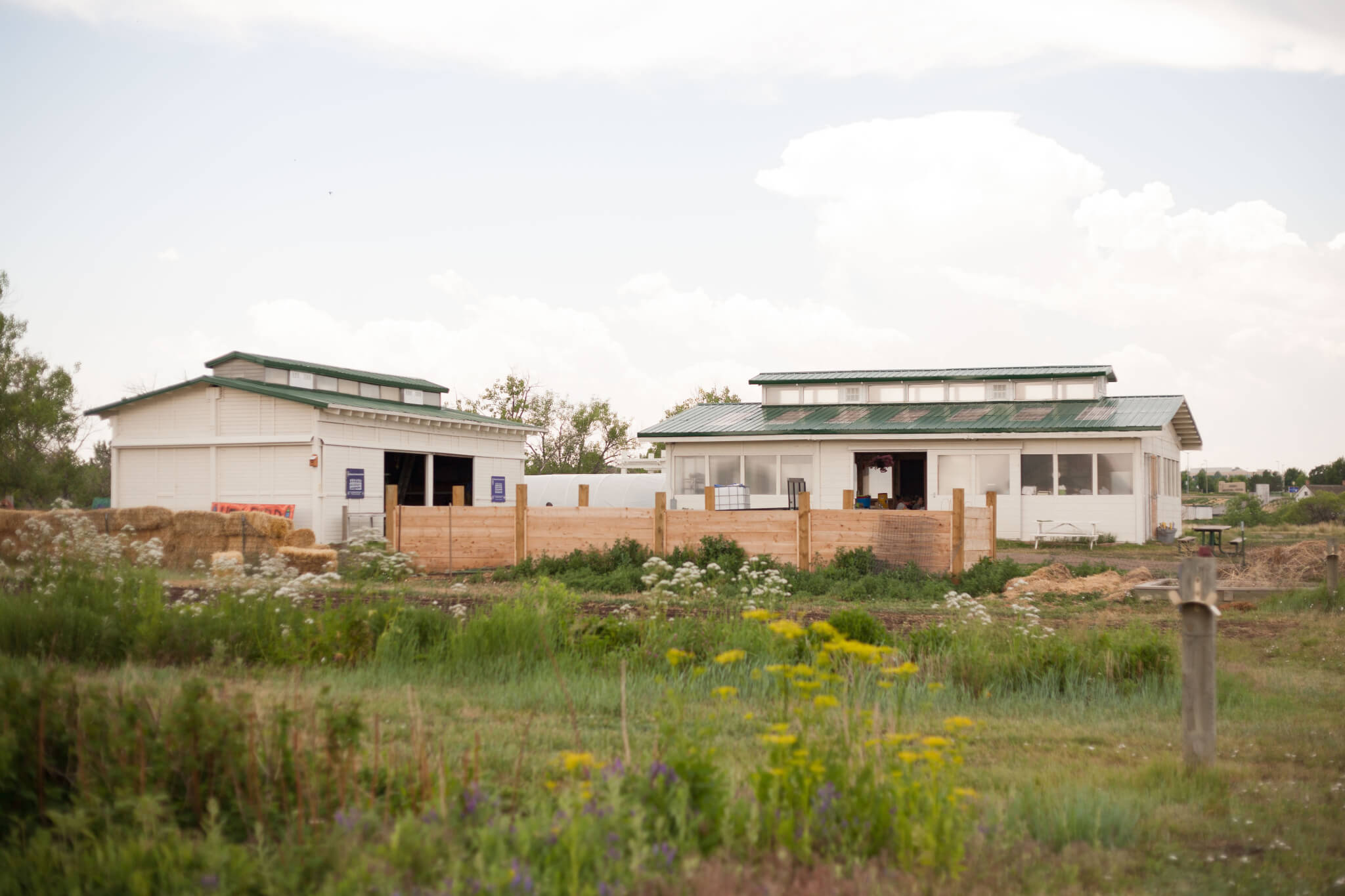 DeLaney Community Farm - Project Worthmore